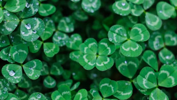 Baby Name Ideas and Inspiration - WeHaveKids