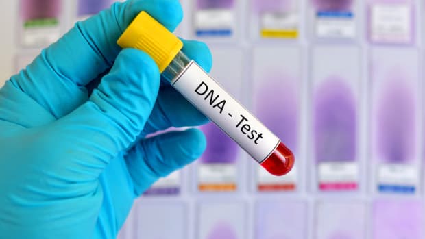 Family Relationships - WeHaveKids