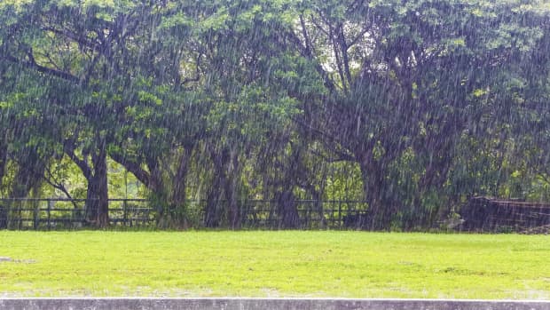 Mom Shares 6-Year-Old Son’s Moving Rain Dance As He’s Learning to ...
