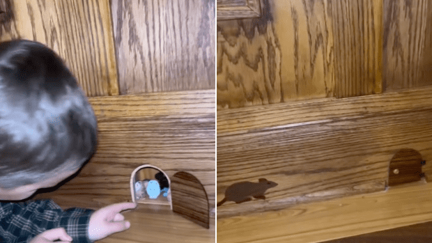 Grandpa Builds Hidden ‘Mouse Doors’ Throughout House for Grandkids to ...
