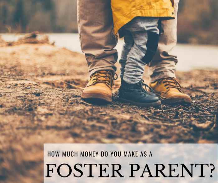Getting Paid to Be a Foster Parent: State-by-State Monthly Guide ...