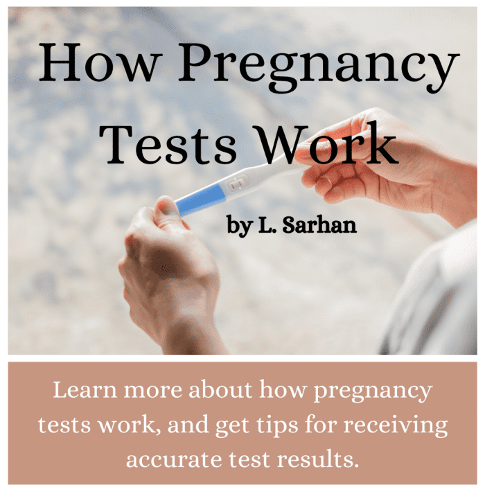 How Do Pregnancy Tests Work? - WeHaveKids