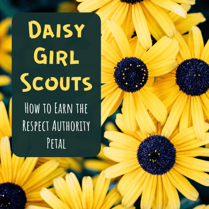 Daisy Girl Scouts: Earning the Respect Authority Petal - WeHaveKids