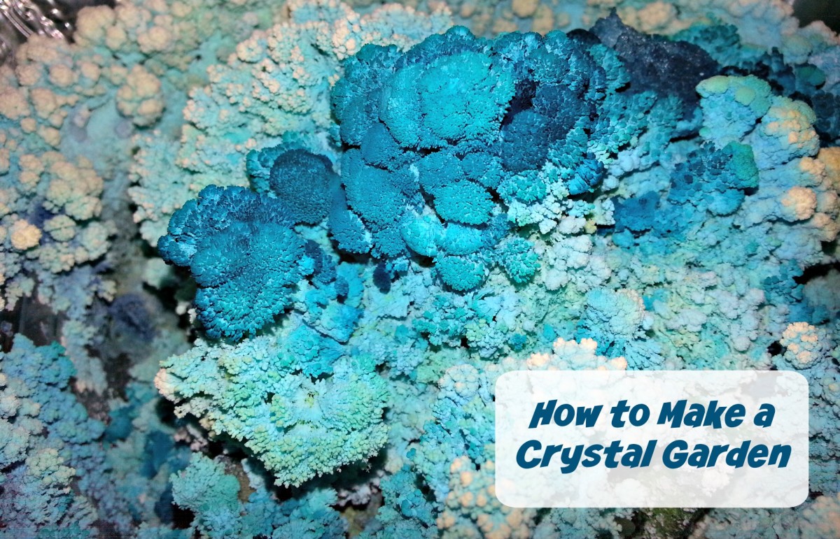 How to Make a Crystal Garden for a Science Project - WeHaveKids