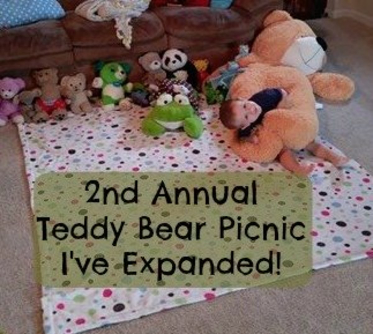 How to Throw a Teddy Bear Picnic - WeHaveKids