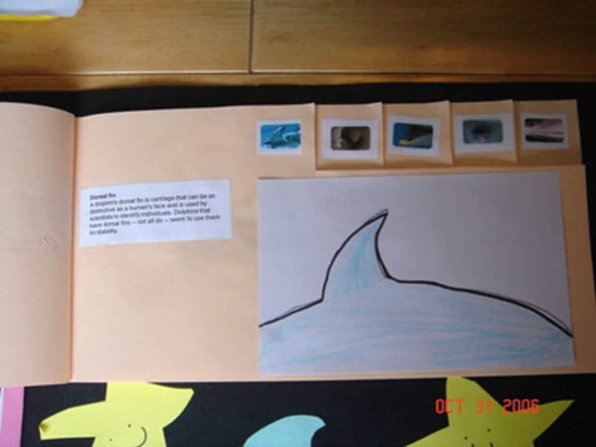 How to Make a Tabbed Book - WeHaveKids