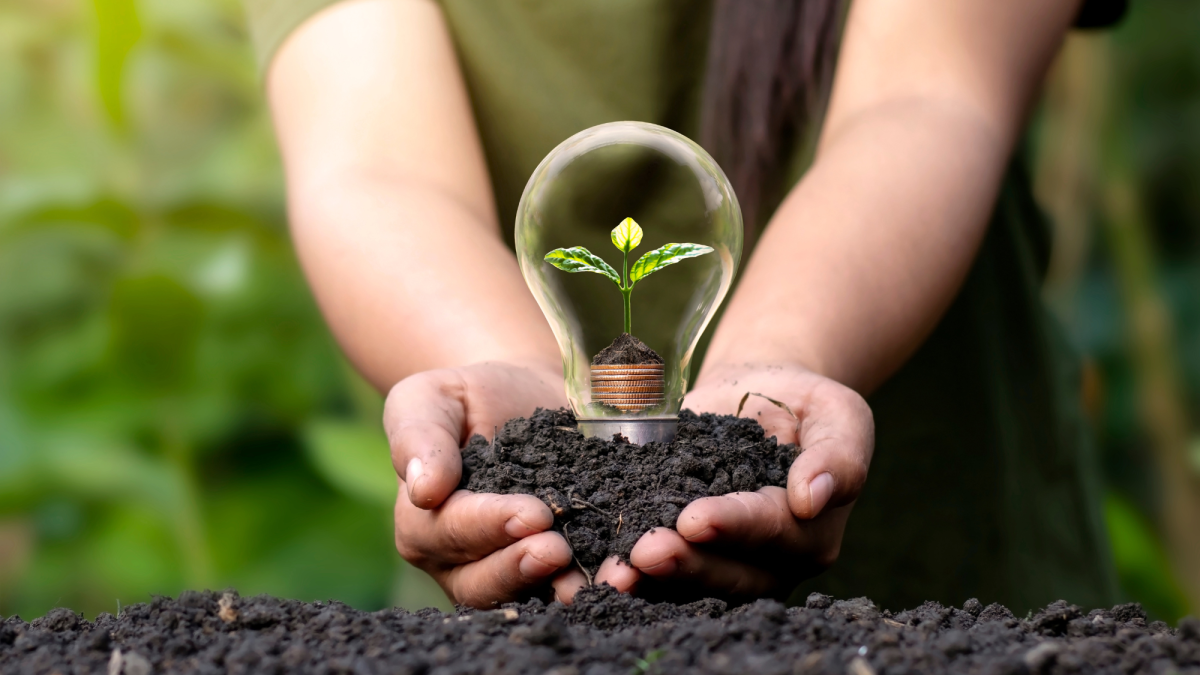 27+ Ways Kids Can Help Protect the Environment! - WeHaveKids