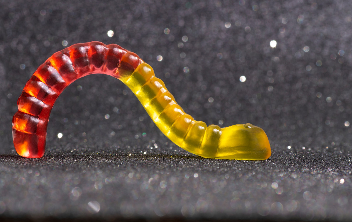 Girl Gets Major Surprise When She Finds a "Gummy" Worm - WeHaveKids News