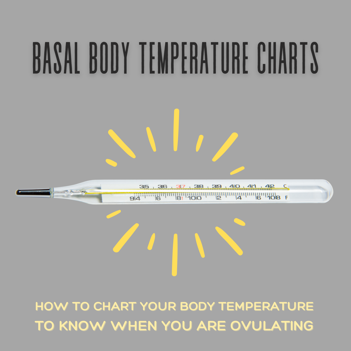 How to Chart Basal Body Temperature - WeHaveKids