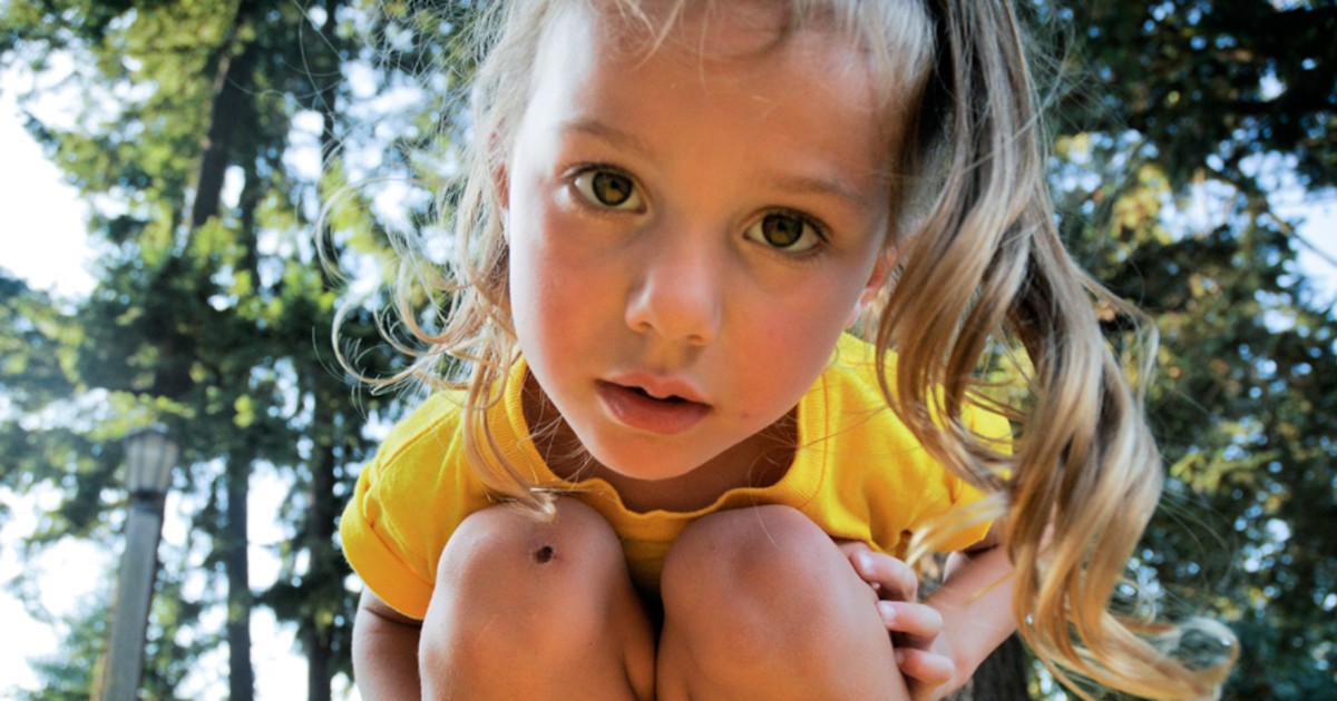 Answers to Common Questions Children Ask About Disability - WeHaveKids