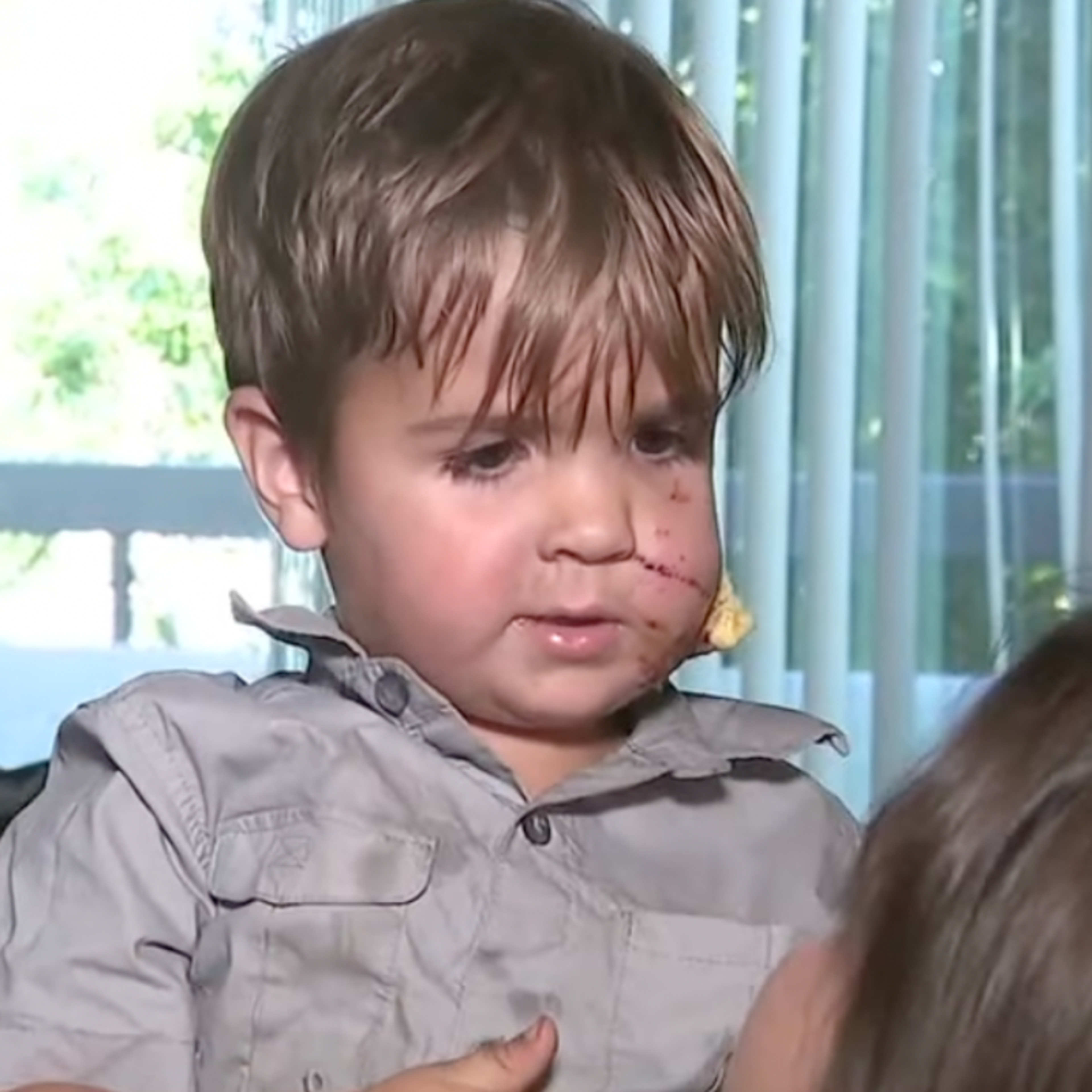 GoFundMe Names 6-Year-Old Boy Mauled to Death by 2 Dogs While at a ...