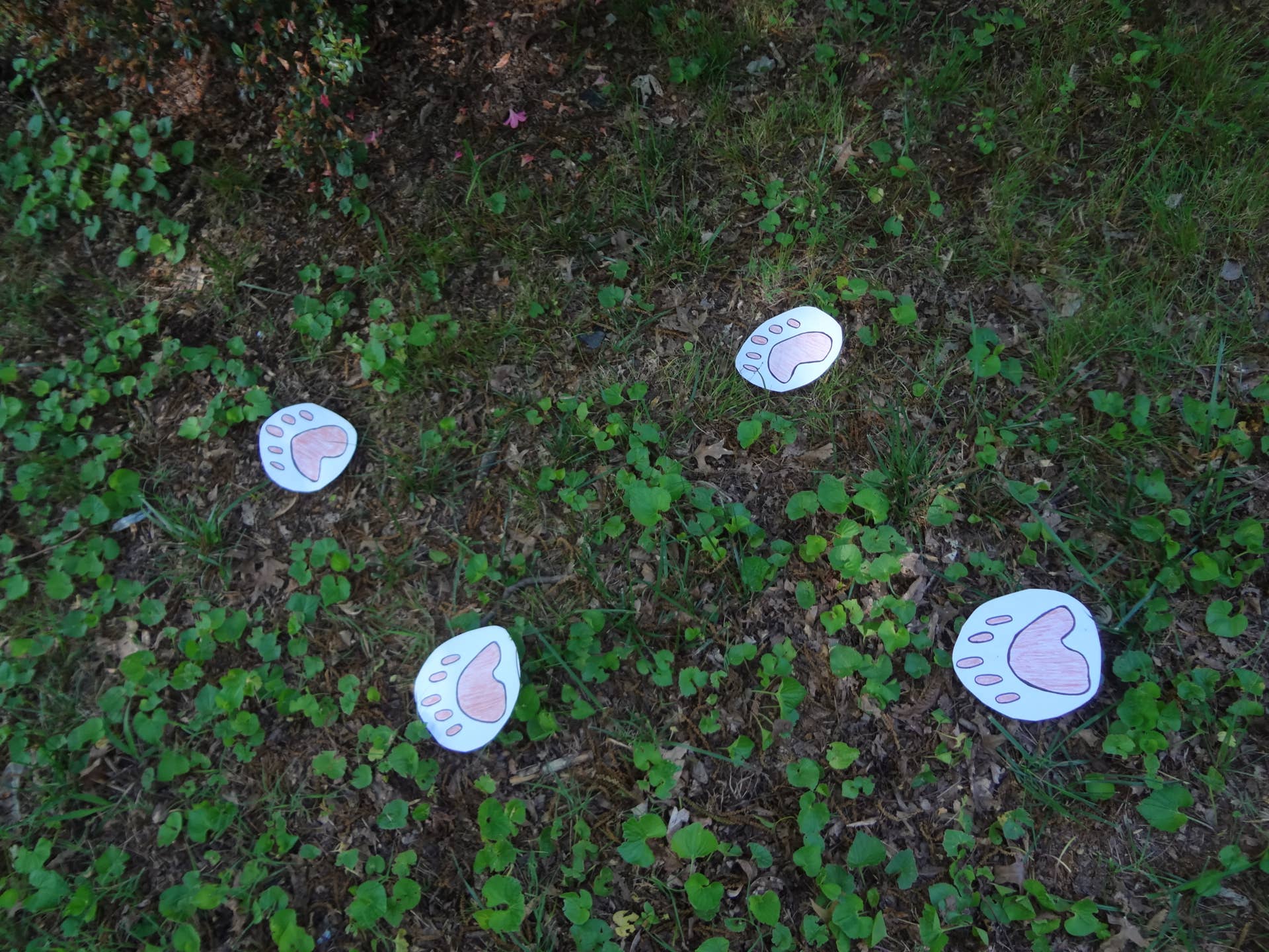 "We're Going on a Bear Hunt" Activities for Kids - WeHaveKids