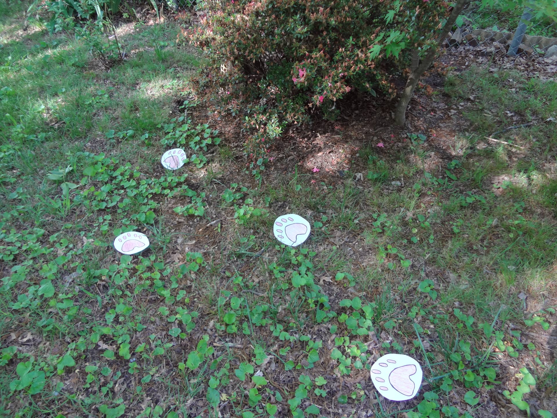 "We're Going on a Bear Hunt" Activities for Kids - WeHaveKids