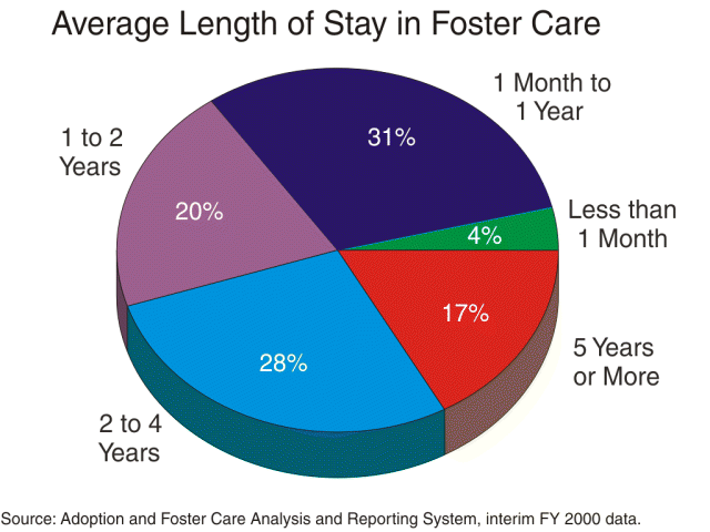 20 Foster Care Statistics From a Former Foster Child - WeHaveKids