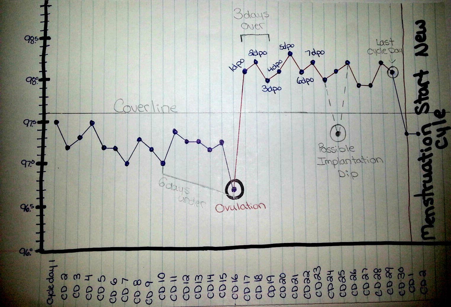 How to Chart Basal Body Temperature - WeHaveKids