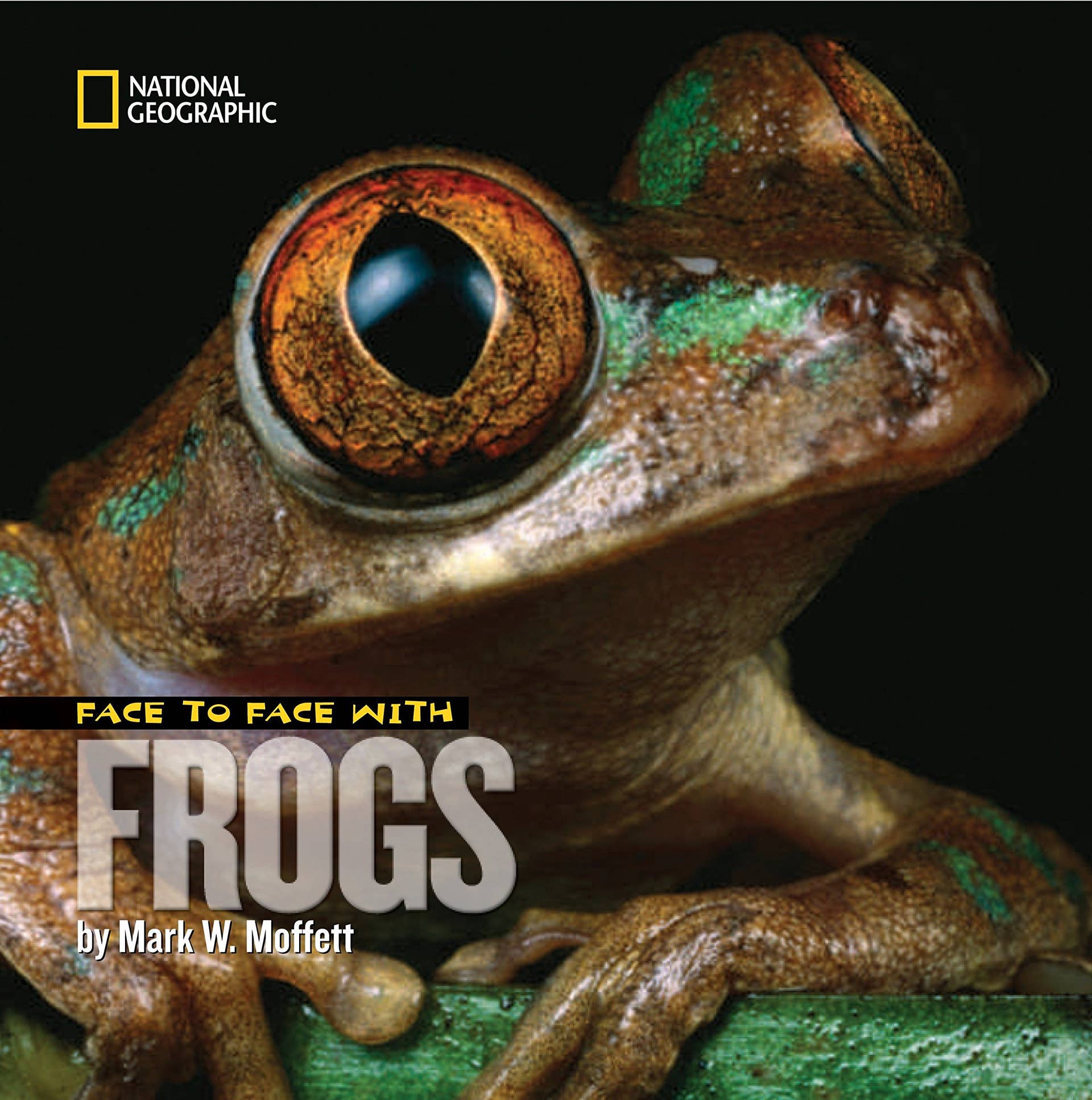 23 Children's Picture Books About Frogs and Toads - WeHaveKids